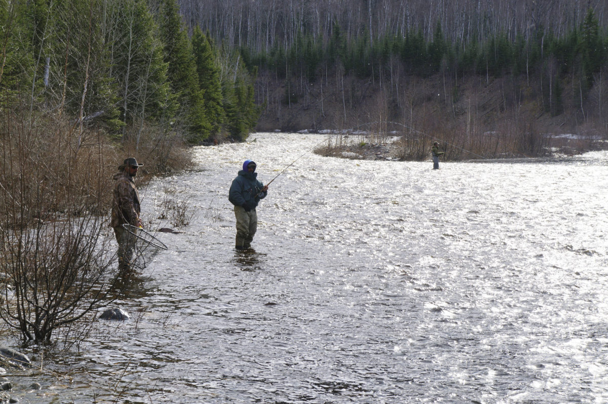 What’s So Great about Fishing in Canada? - Northern Wilds Magazine