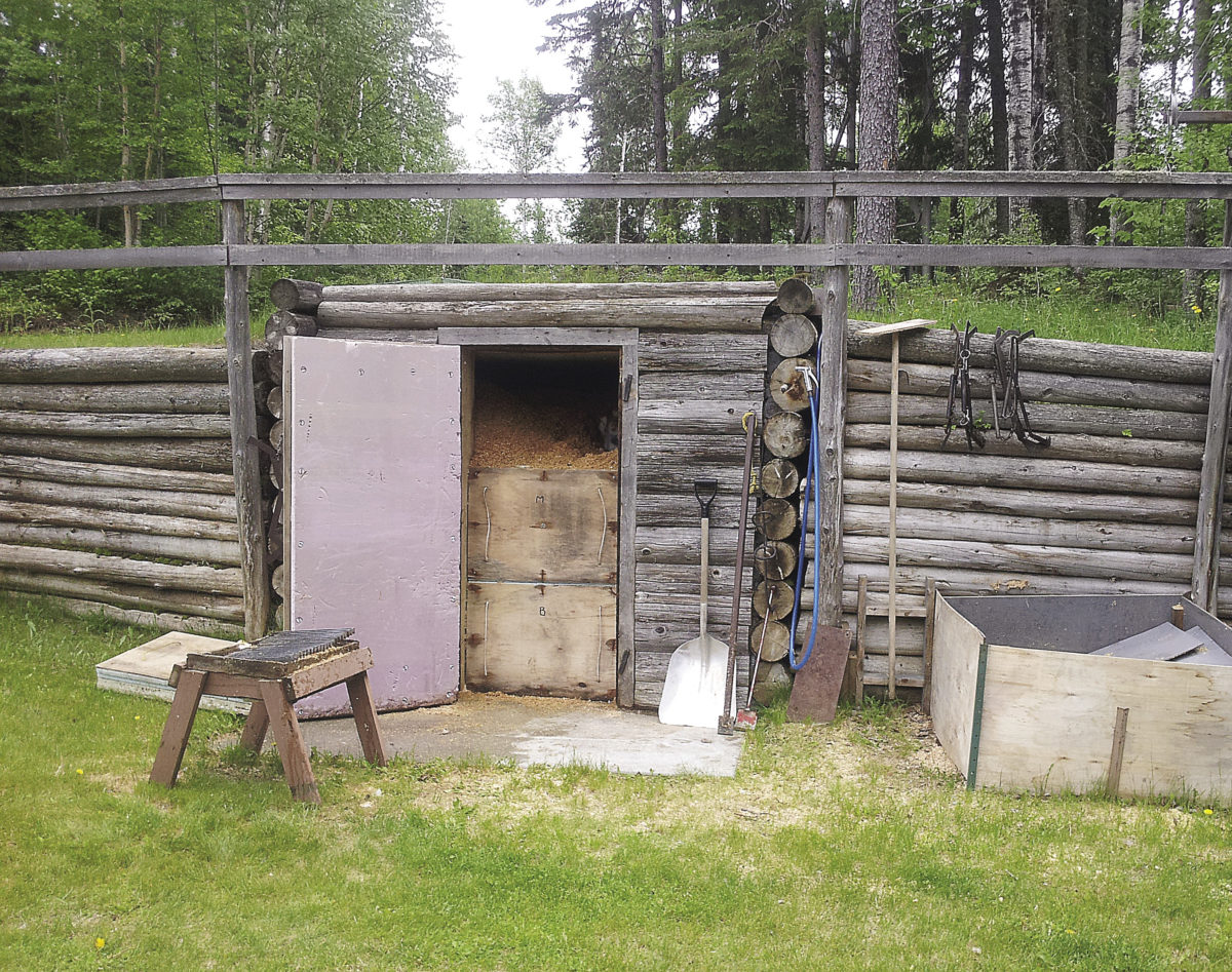 Interview with an Ice-Maker - Northern Wilds Magazine