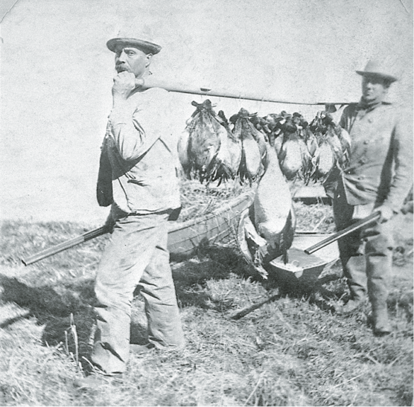 Pioneer Hunting Stories by Tom Landwehr - Northern Wilds Magazine