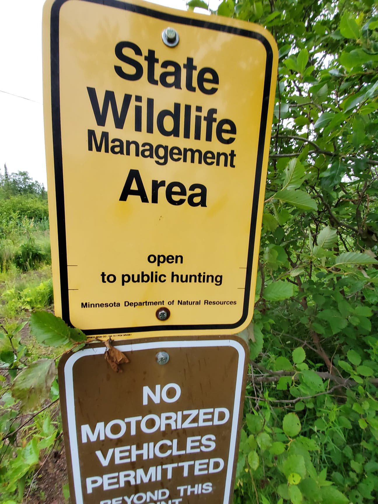 State Wildlife Management Area | Northern Wilds Magazine