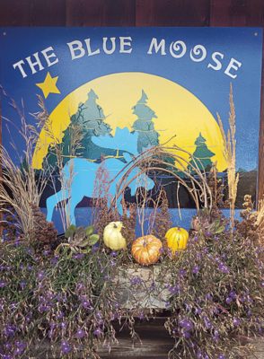 The Blue Moose changes hands - Northern Wilds Magazine