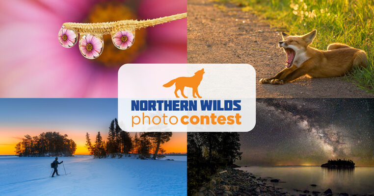 Photography Contest - Northern Wilds Magazine