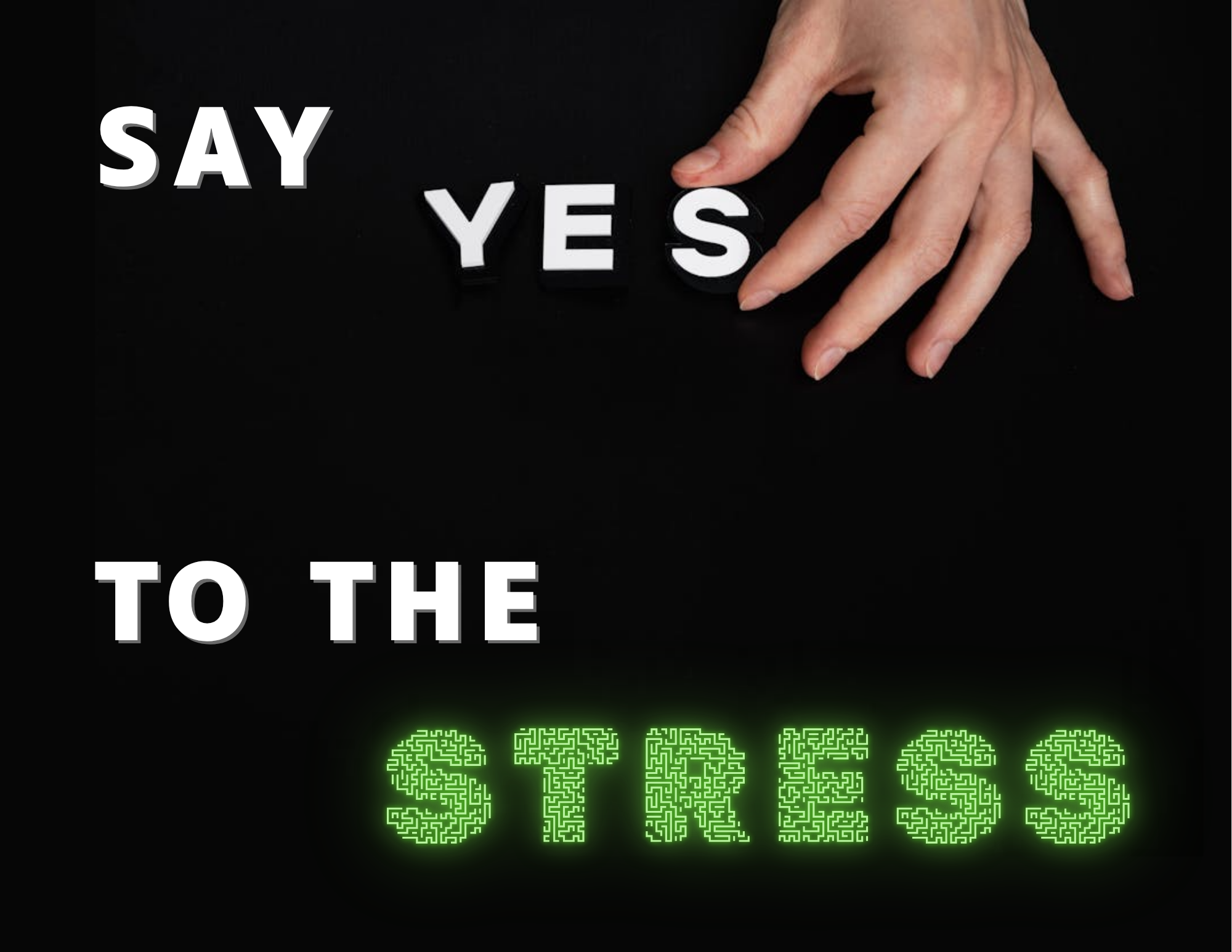 Say Yes to the Stress? - Northern Wilds Magazine