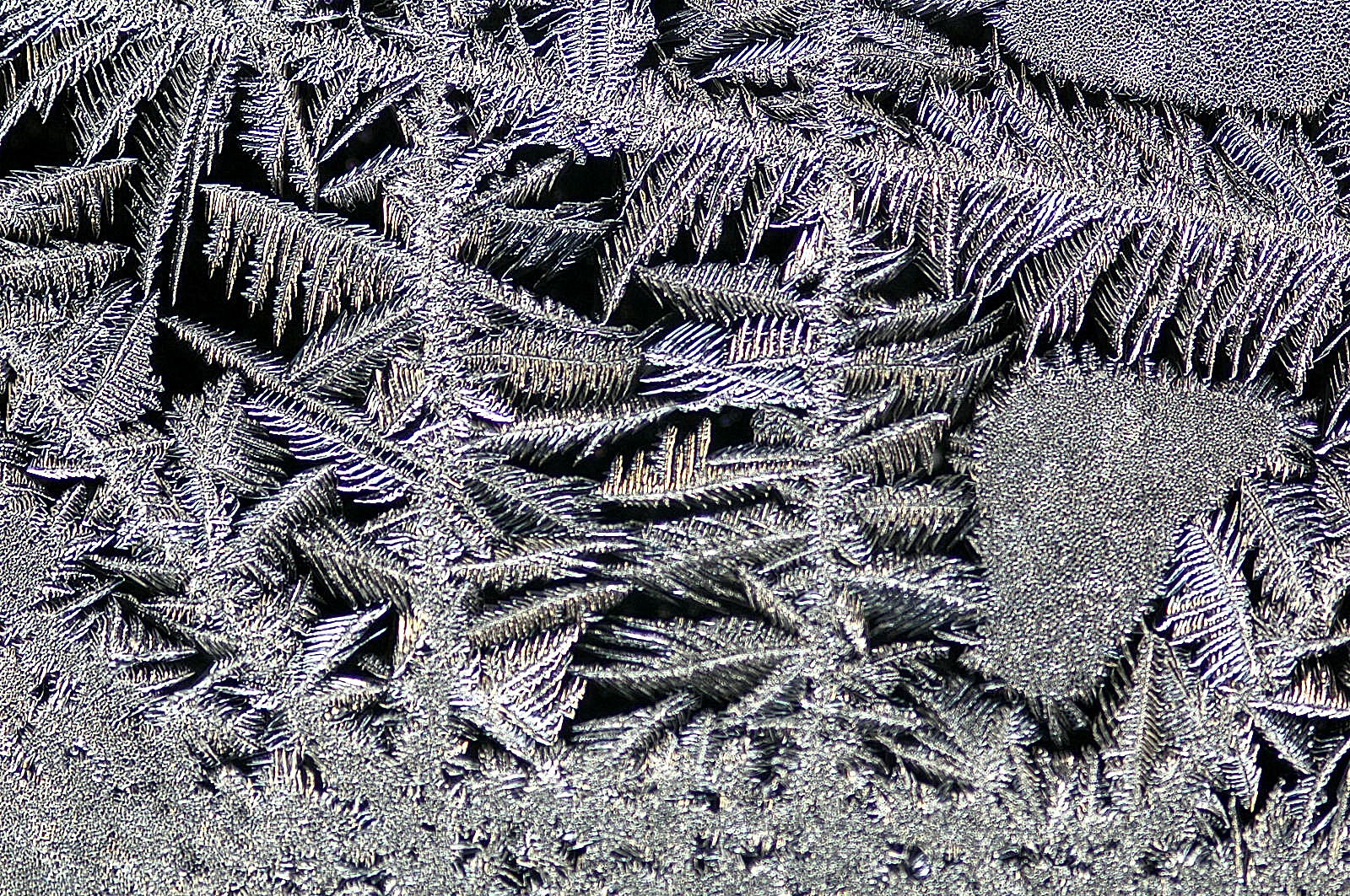 Nature’s Winter Ice Art Gallery - Northern Wilds Magazine