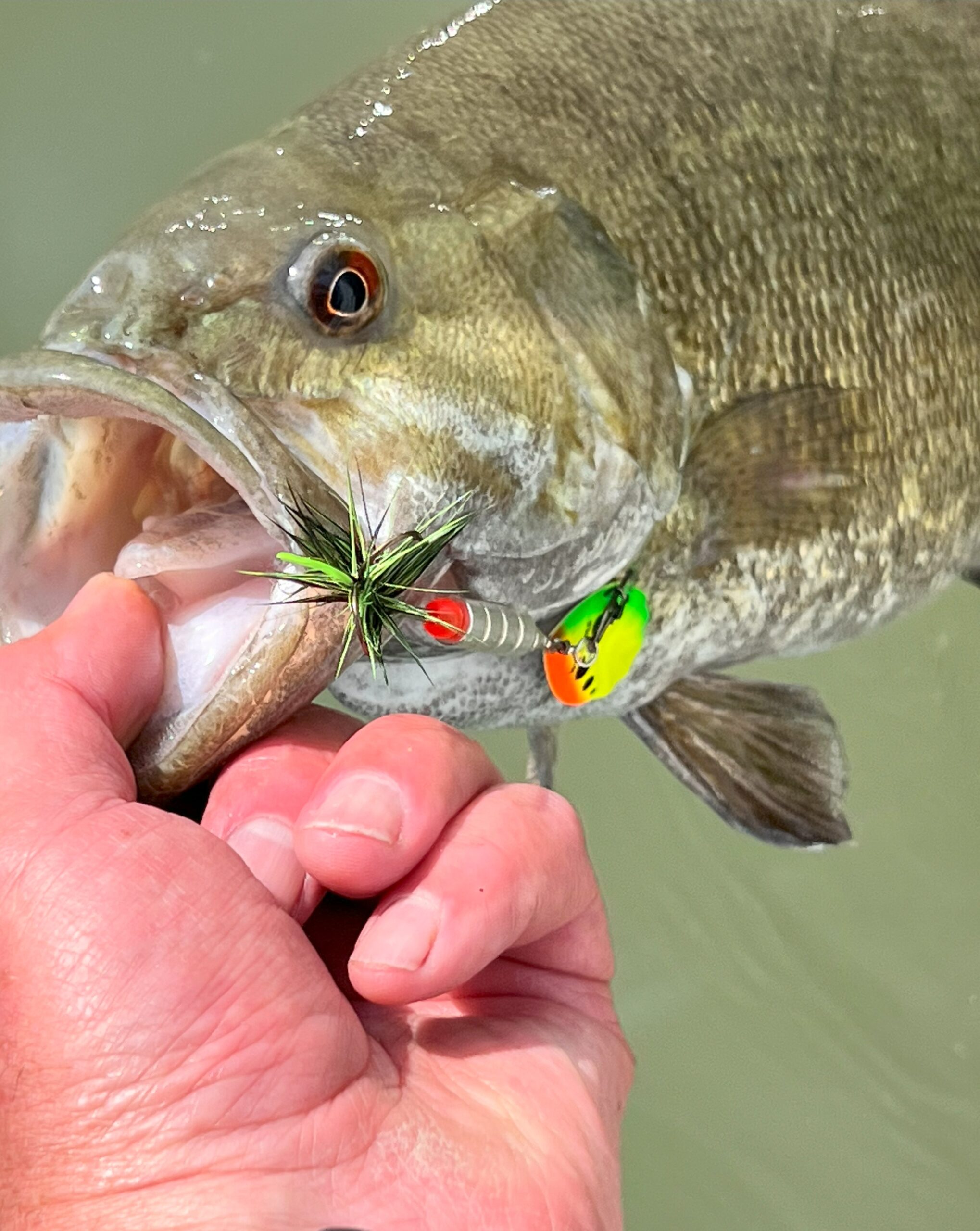 Spinner Techniques for Bass - Northern Wilds Magazine