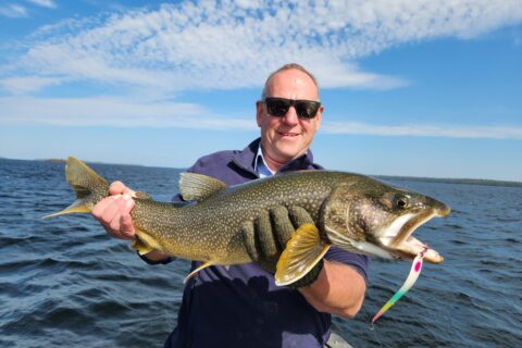 Lake Whitefish and Lake Herring - Northern Wilds Magazine